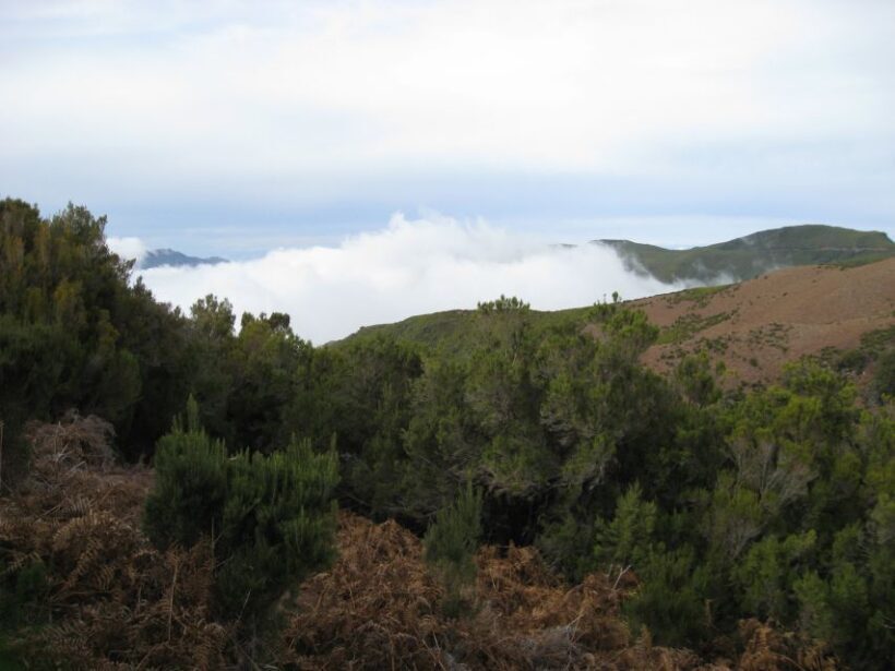 Levada do Alecrim (Madeira Lakes) Full-day walk - Key Points