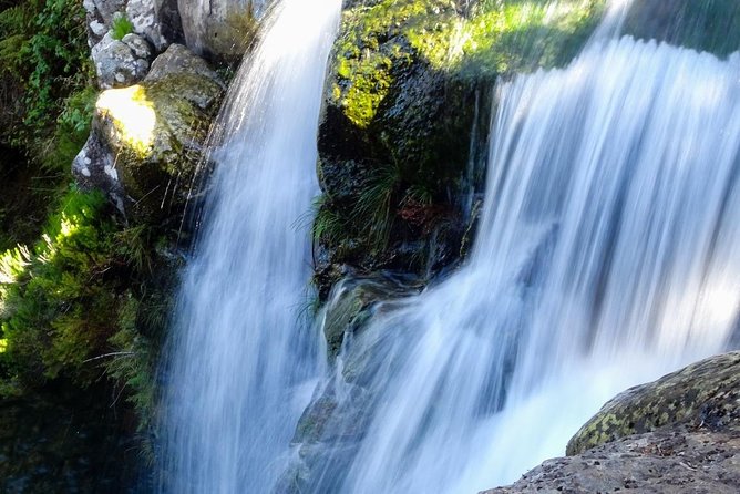 Levada do Alecrim - Rosemary Levada (Full Day Walk) - Exploring the Levada do Alecrim – Rosemary Levada (Full Day Walk): A Balanced View