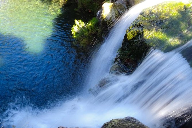Levada do Alecrim - Rosemary Levada (Full Day Walk) - Authentic Traveler Perspectives