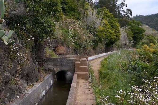 Levada do Norte Quinta Grande Levada walk - Who Should Consider This Tour?