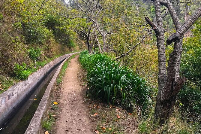 Levada do Norte - Walking Tour - The Sum Up: Is the Levada do Norte Tour Worth It?