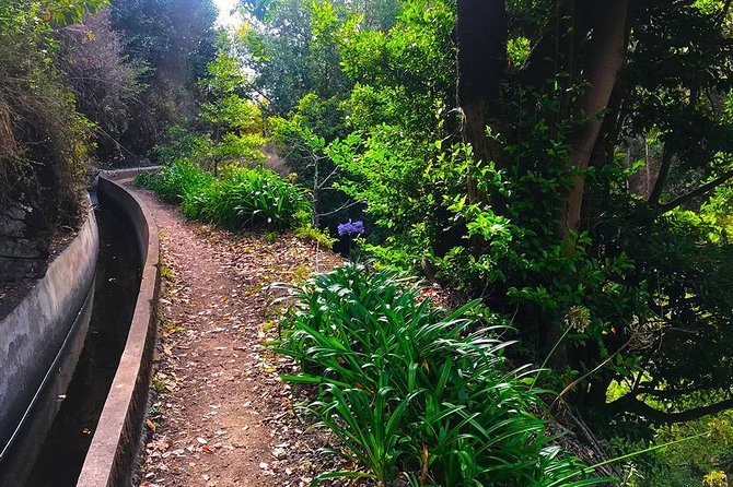 Levada do Norte - Walking Tour - FAQ