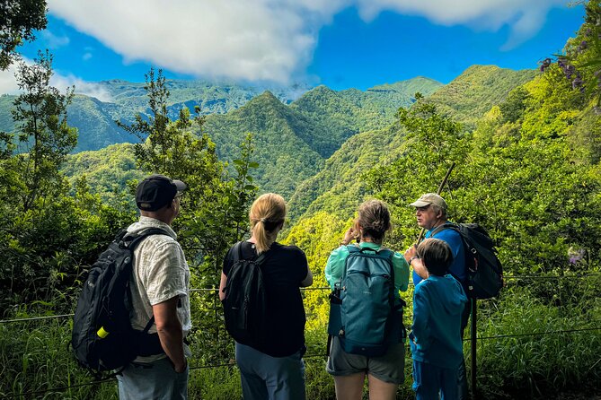Levada do Rei (PR18) - Through Madeira's Majestic Laurissilva - Authentic Experiences and Real Traveler Insights