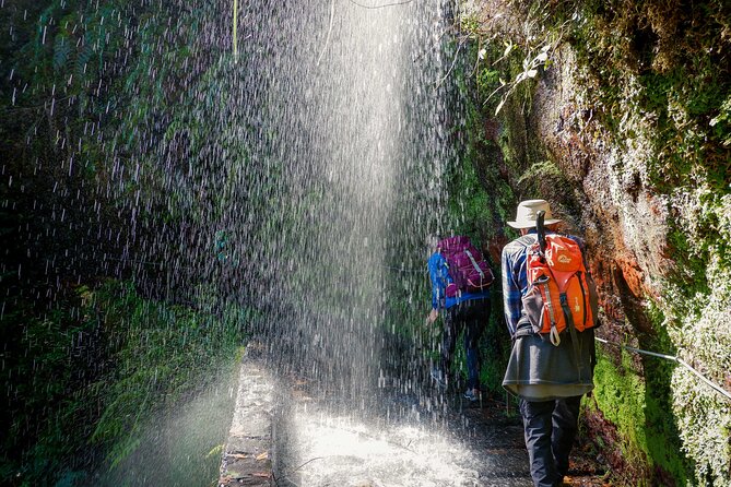 Levada do Rei (PR18) - Through Madeira's Majestic Laurissilva - Who Will Love This Tour?