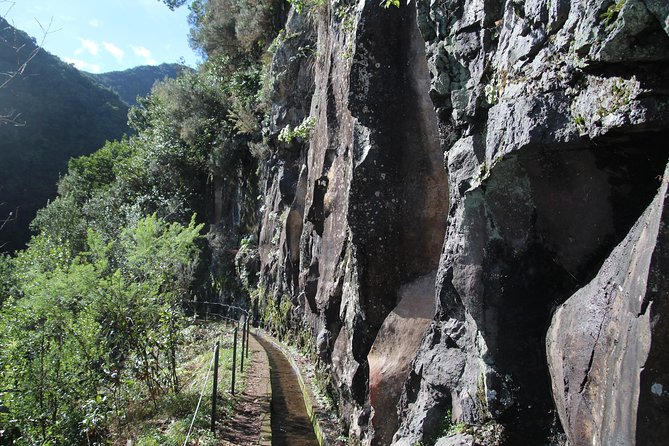 Levada do Rei - Ribeiro Bonito (Full Day Walk) - The Value and Unique Aspects of This Tour