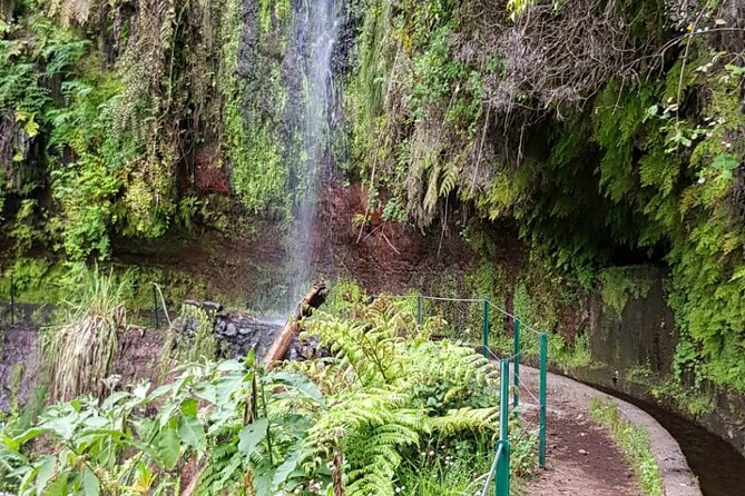 Levada do Rei - Ribeiro Bonito (Full Day Walk) - Who Will Love This Experience?