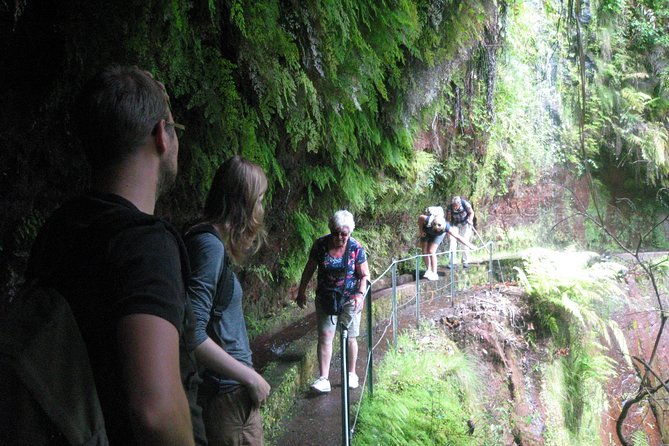 Levada do Rei - Ribeiro Bonito (Full Day Walk) - FAQ