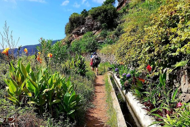 Levada Serra D'Agua - Transportation and Group Size Details