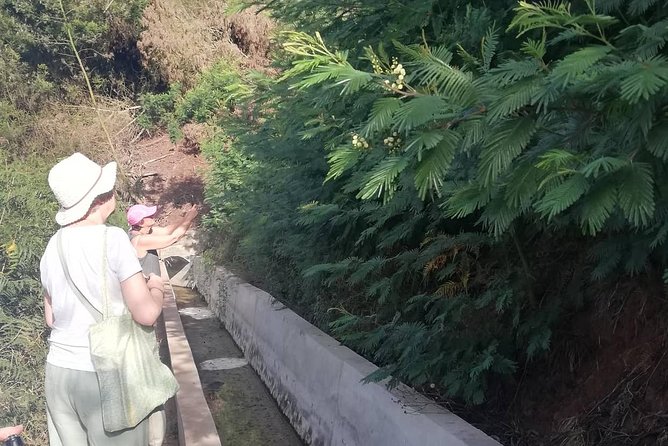 Levada Serra D'Agua - Booking Information and Cancellation Policy