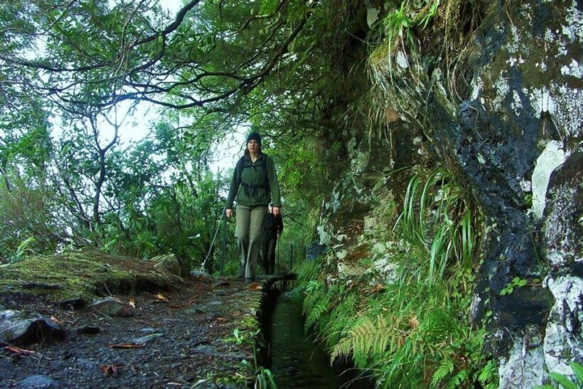 Levada Walk and Caldeirao Verde Waterfalls: Madeira - An Authentic Madeira Experience: What the Tour Offers