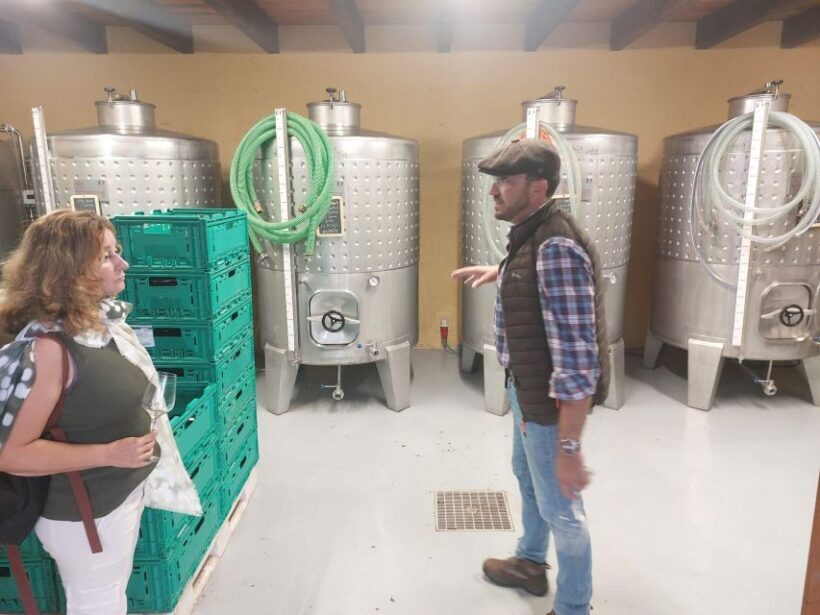 Levada Walk, Cider Tasting & Lunch - Who This Tour Is Best For