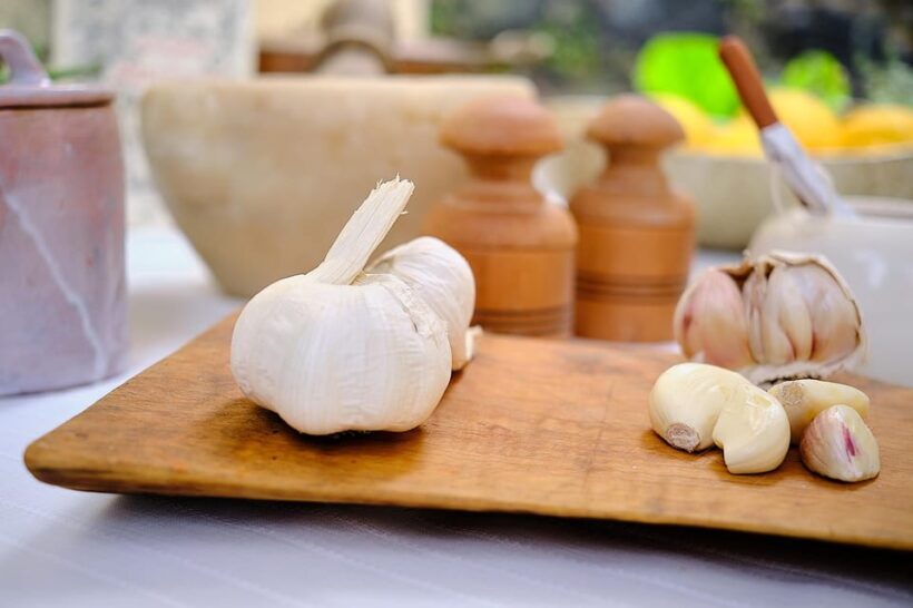 Levanto, Cinque terre: Fresh Pasta and Pesto cooking class - Who Will Love This Class?
