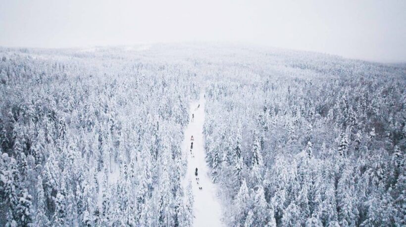 Levi: 15-Kilometres Self-Driving Husky Tour - An In-Depth Look at the Husky Sled Experience