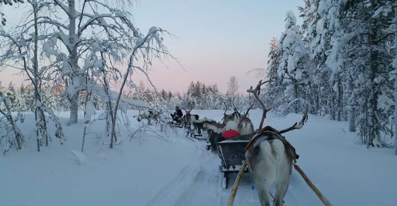 Levi: 3km Reindeer Sleigh Ride in the forest at night - Key Points