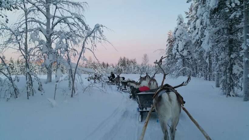 Levi: 3km Reindeer Sleigh Ride in the forest at night - Starting Point and Transportation