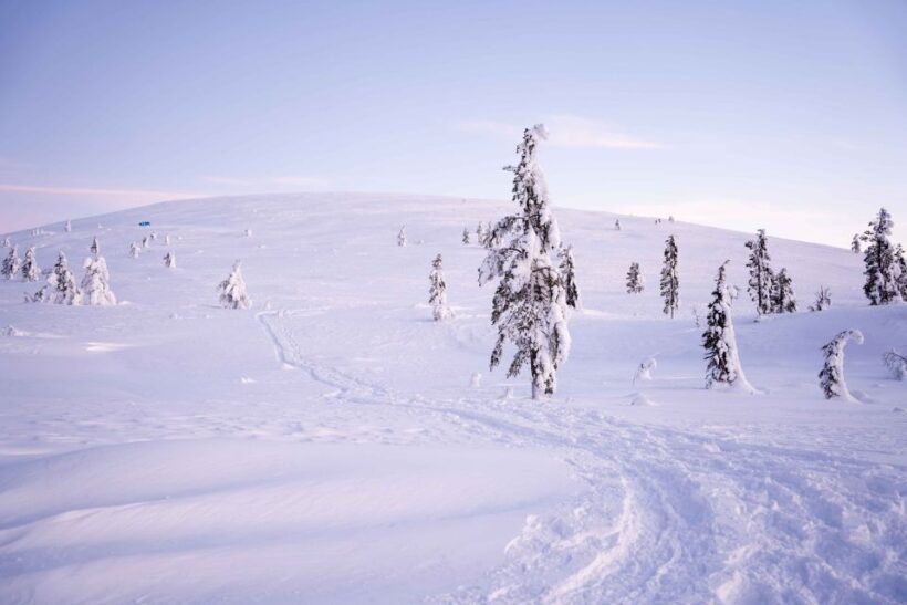 Levi: Backcountry Skiing Adventure - Key Points