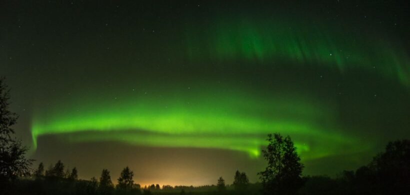 Levi: Evening Husky Sled Ride under the Northern Lights - The Huskies and Their Care: What You Should Know