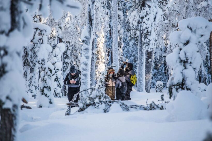 Levi: Explore the Wilderness - The Itinerary: What to Expect at Each Stop