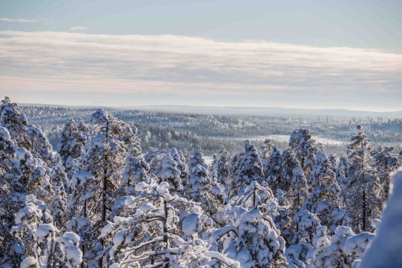 Levi: Explore the Wilderness - What Past Travelers Say