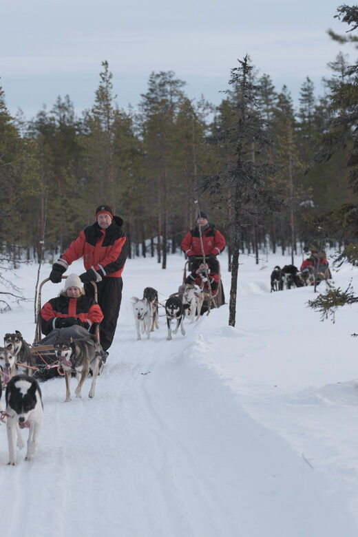 Levi: Follow the Elves  One day husky safari - An In-Depth Look at the Husky Safari Experience