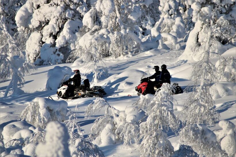 Levi: Forest Snowmobile Safari - Key Points