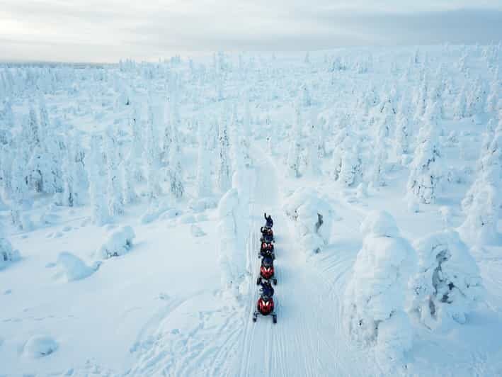 Levi: Forest Snowmobile Safari - The Sum Up: Is It Worth It?