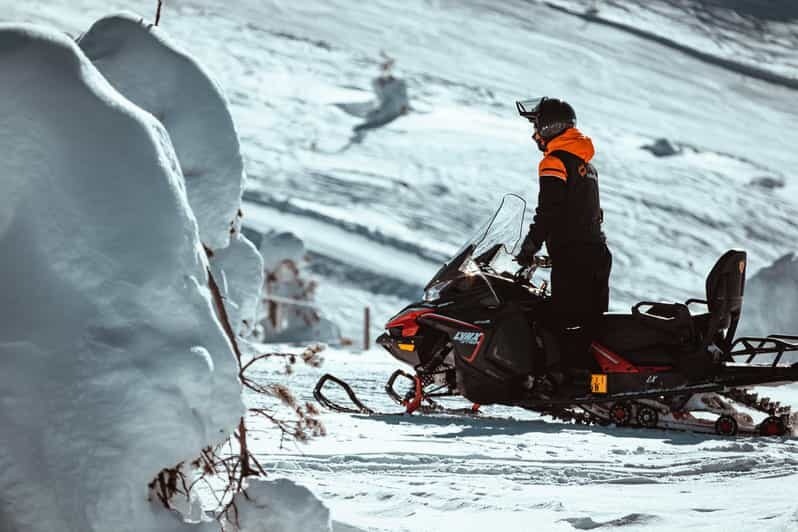 Levi: Full Day Snowmobile Safari to Wilderness - What the Tour Entails