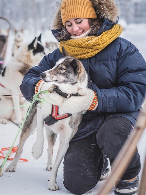 Levi: Guide-driven Husky Safari - Deep Dive into the Itinerary