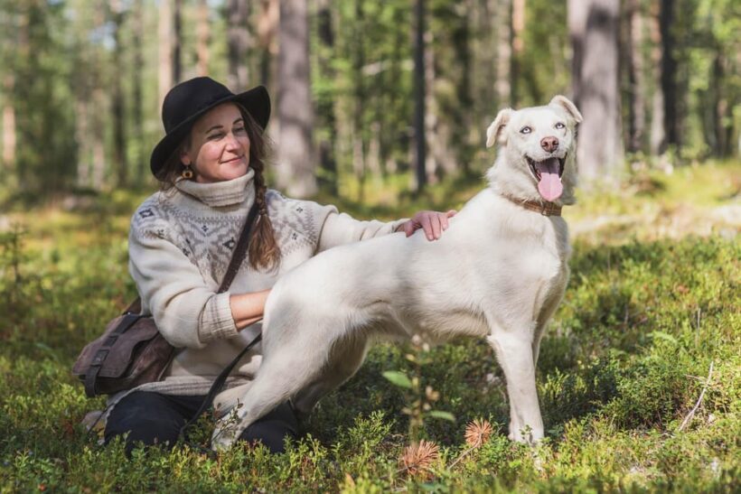 Levi: Horse and Husky Farm Visit with Juice and Cookies - Key Points