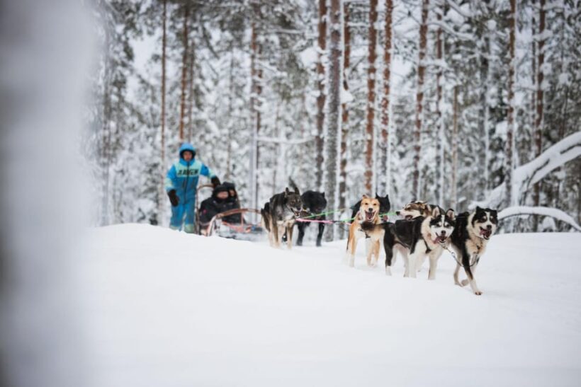 Levi: Husky and Reindeer Farm Visit with Snowmobiling - Wrapping Up: Cozy Comforts and Authentic Food