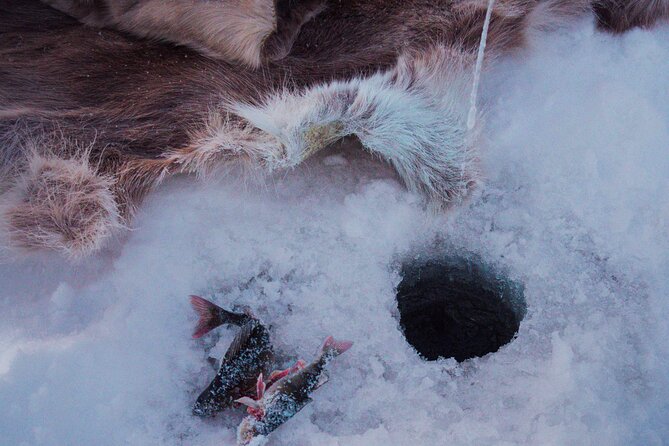 Levi Ice Fishing Experience in the Wild with Campfire Treats - Who Will Love This Tour?