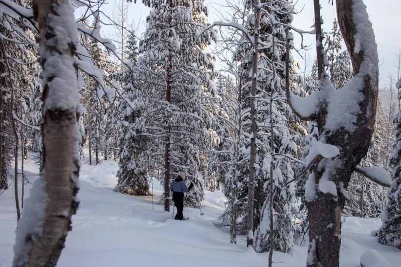 Levi: Lakeside forest snowshoeing - The Sum Up: The Perfect Low-Impact Arctic Escape