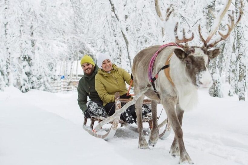 Levi: Lapland Reindeer and Husky Safari - Key Points