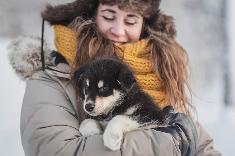 Levi: Nature Walk with Huskies - Final Thoughts: Who Will Love This Experience?