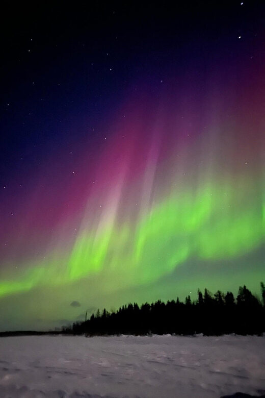 Levi: Northern Lights Adventure in the Wild, Campfire Treats - The Experience: An In-Depth Look