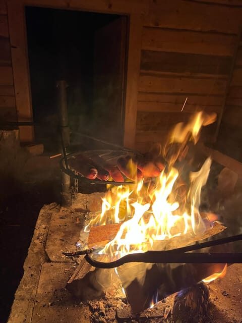 Levi: Northern Lights Adventure in the Wild, Campfire Treats - Who Is This Tour Best For?