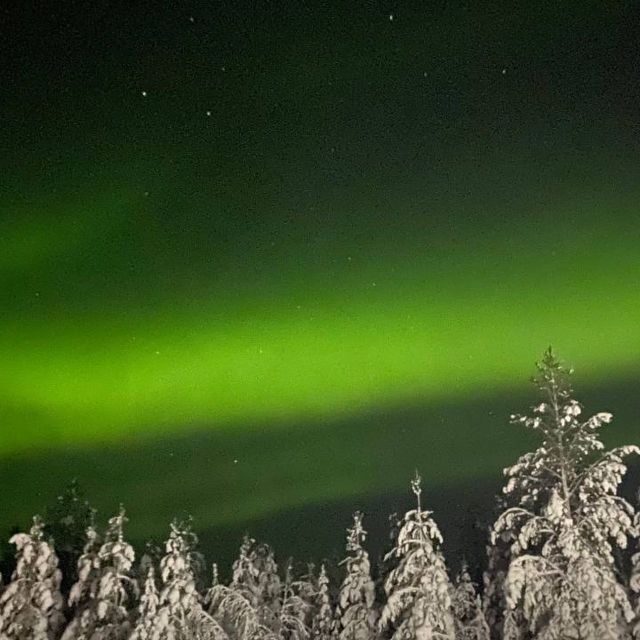 Levi: Northern Lights Hunt Including Campfire Snacks - Key Points