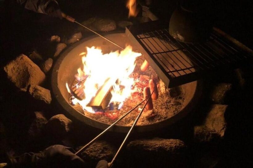 Levi: Northern Lights Hunt Including Campfire Snacks - The Practical Details