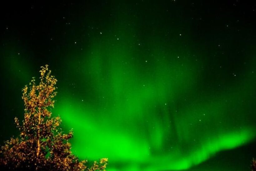 Levi: Northern Lights Hunt Including Campfire Snacks - Who Will Love This Tour?