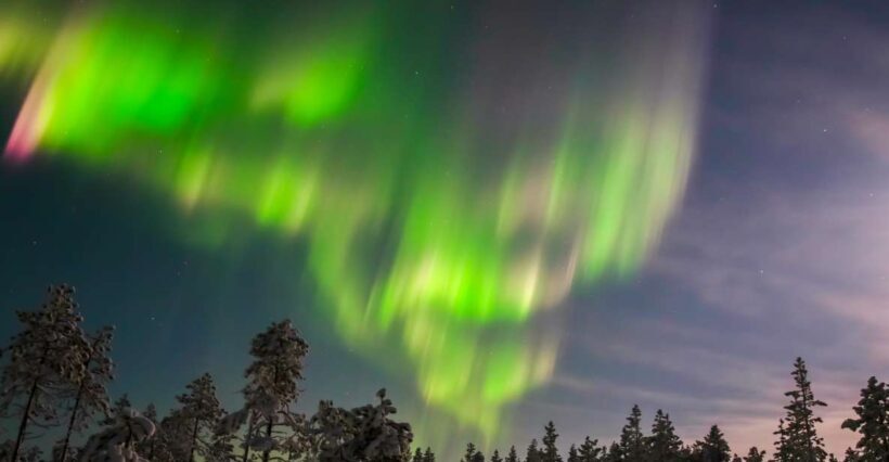 Levi: Northern Lights Hunting Photo Tour - What to Expect from the Levi Northern Lights Photo Tour
