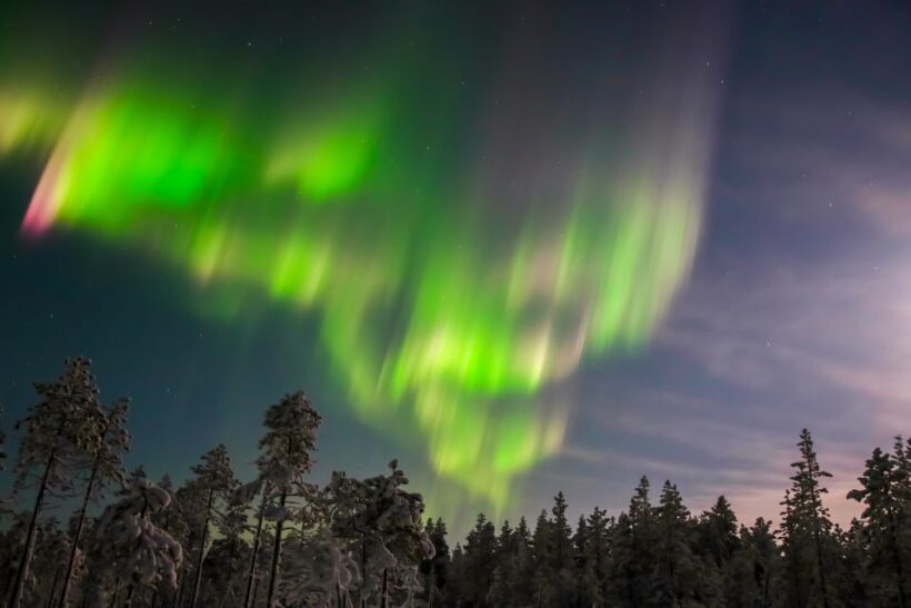 Levi: Northern Lights Hunting Photo Tour - Final Thoughts: Is This Tour Right for You?