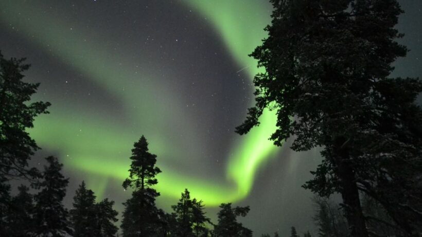 Levi: Northern Lights Snowmobile Tour with Snacks and Drinks - FAQ