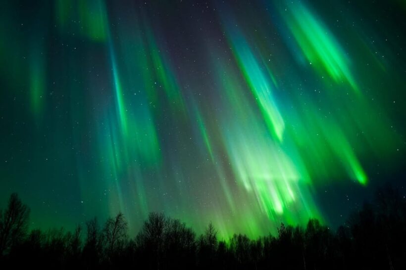 Levi: Northern Lights Tour with Guaranteed Sightings - Key Points