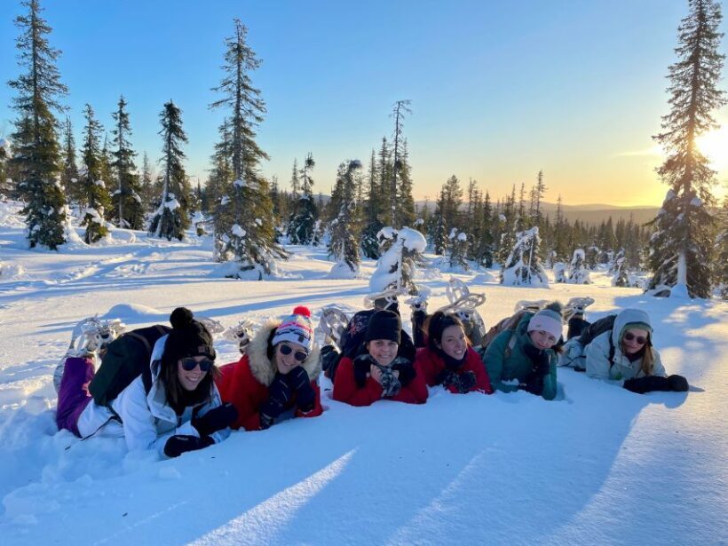 Levi: Pallas-Yllästunturi National Park Snowshoeing Tour - Why This Tour Stands Out