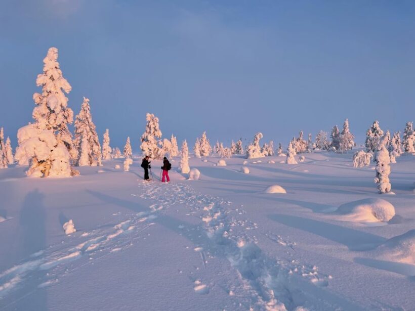 Levi: Pallas-Yllästunturi National Park Snowshoeing Tour - FAQs