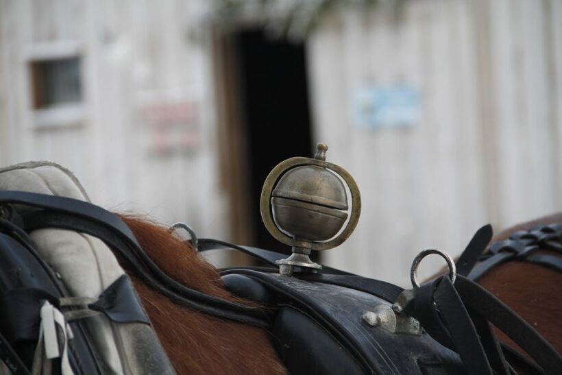 Levi, Polar Lights Tours: One Horse Open Sleigh Ride - An In-Depth Look at the Sleigh Ride Experience