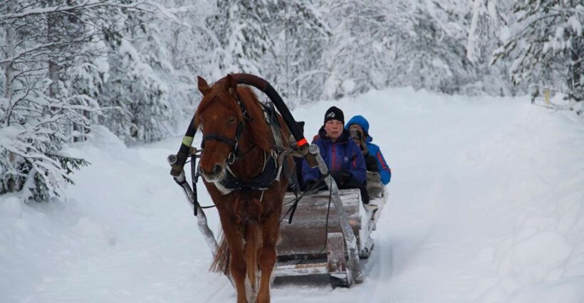 Levi, Polar Lights Tours: One Horse Open Sleigh Ride - Final Thoughts
