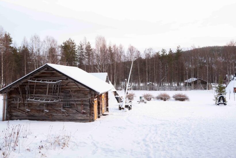 Levi: Reindeer Farm E-Fatbike Safari - Final Thoughts: Is It Worth It?