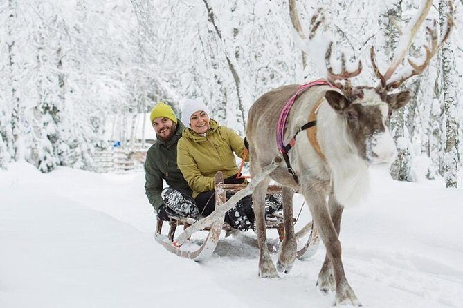 Levi Reindeer Safari - Long or Quick - with Sledge Ride - The Reviews in Perspective
