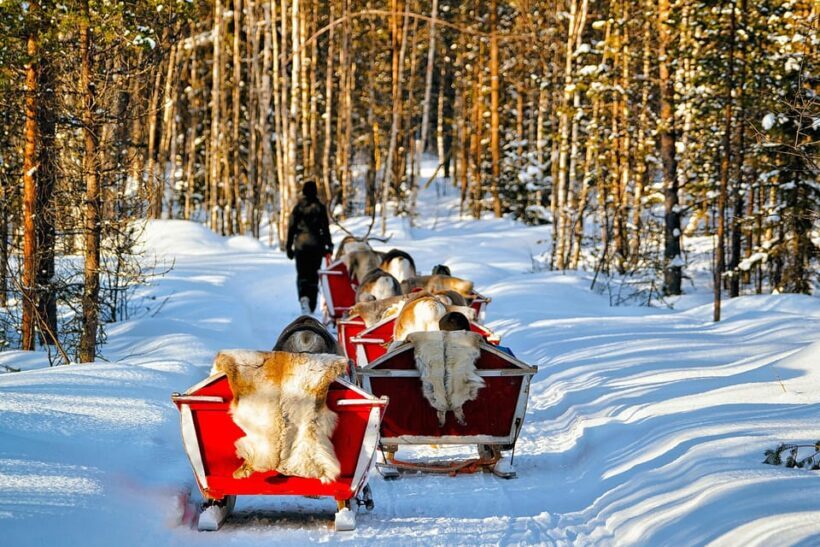 Levi: Reindeer Sleigh Ride Tour in Snowy Forest - Who Will Love This Experience?
